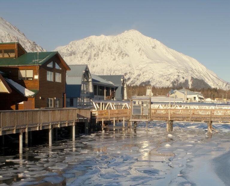 How To Get To The Seward Cruise Port: A Complete Guide | Cruise Port ...